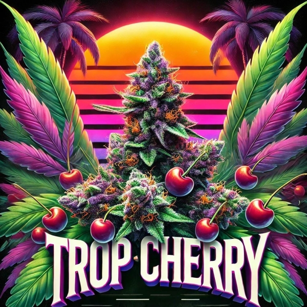 Trop Cherry - Relentless Genetics